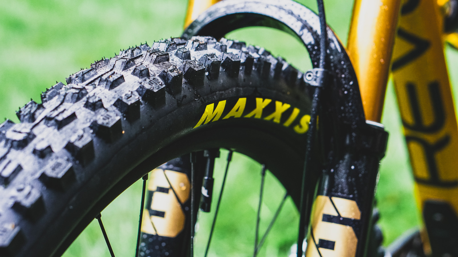 Custom Ponyboy Revel Rascal aka 'Goldilocks' - gold_007's Bike Check ...