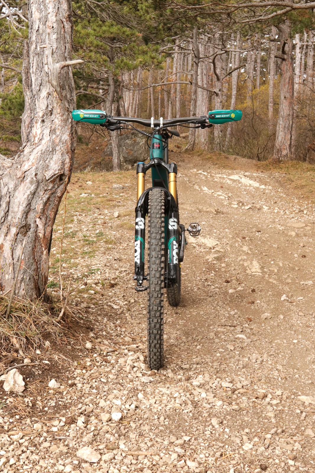 HIGHTOWER CUSTOM BUILT - Emeric's Bike Check - Vital MTB