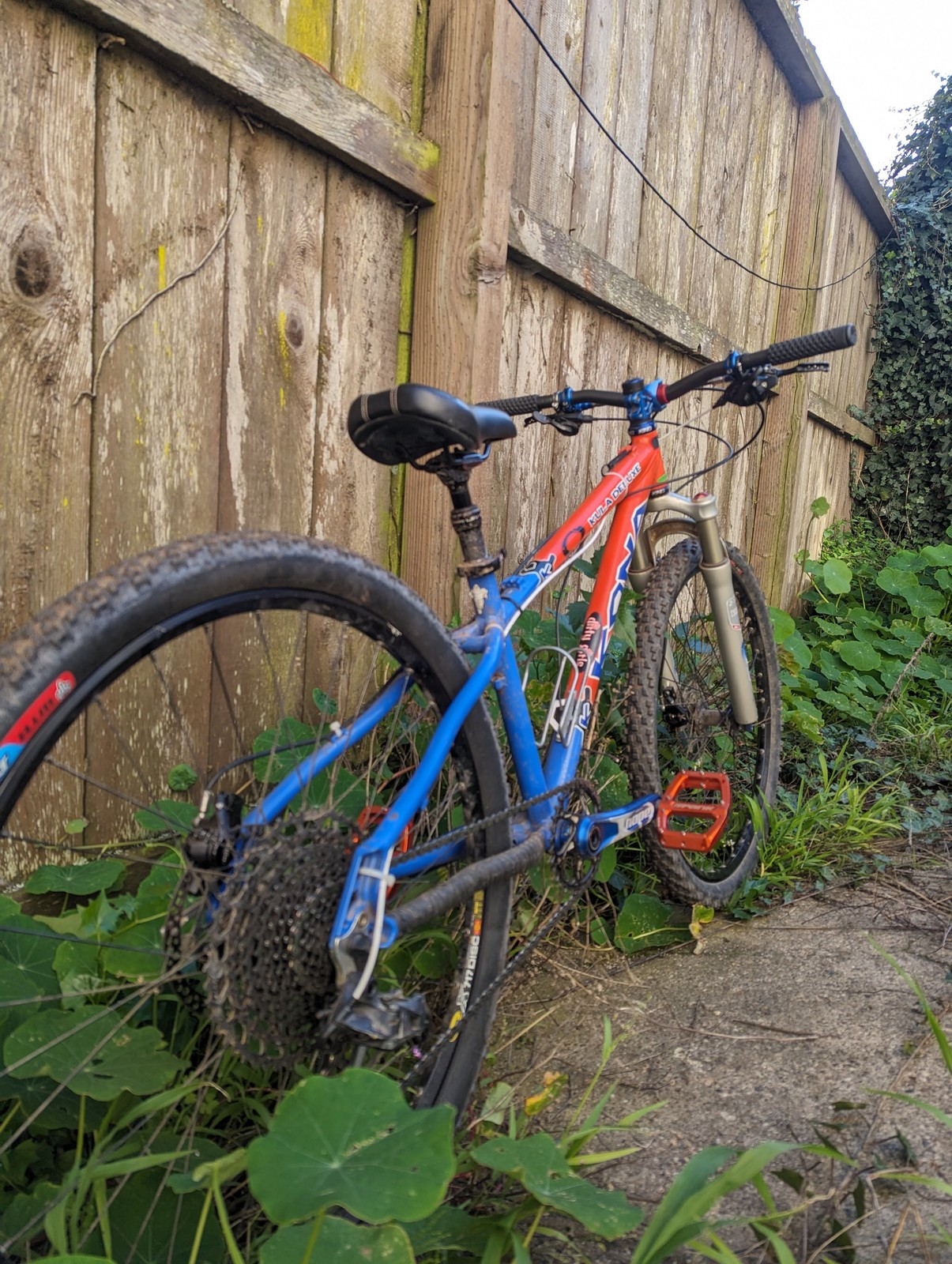 Kona Kula Deluxe – Kid's XC Race Bike - coyoterun's Bike Check - Vital MTB