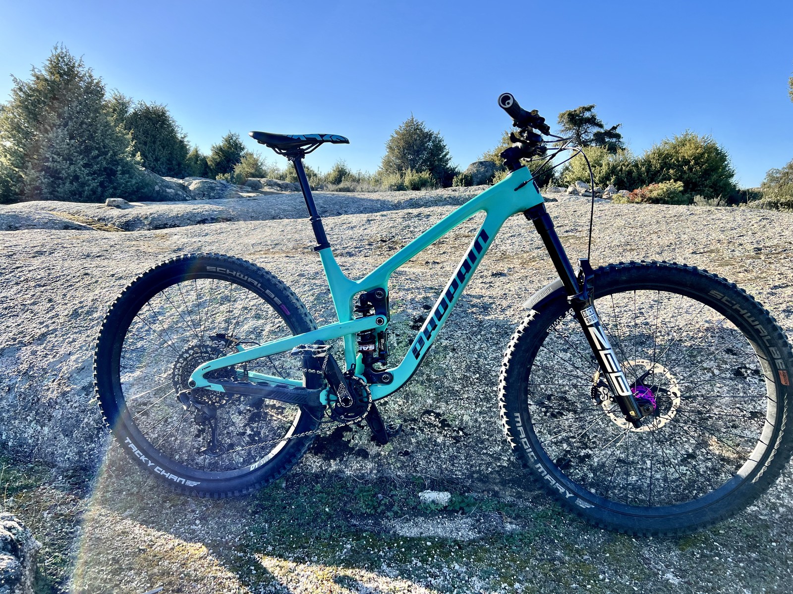 Propain Tyee CF 5 29 - xlcodfree's Bike Check - Vital MTB