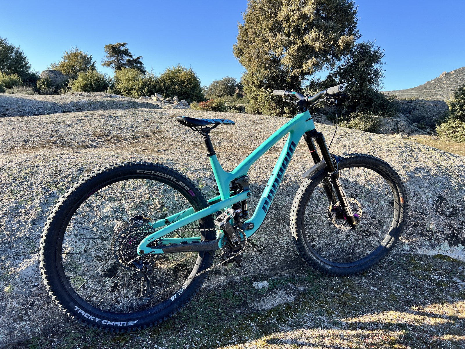 Propain Tyee CF 5 29 - xlcodfree's Bike Check - Vital MTB