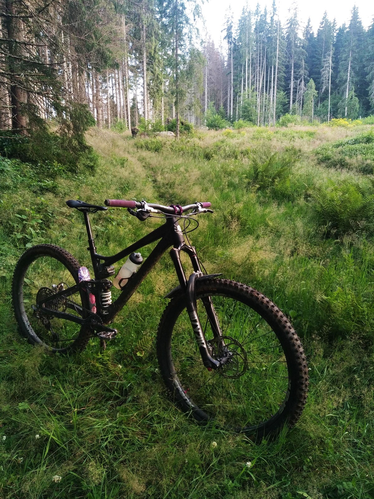 Banshee Prime V3 - jurassicrider's Bike Check - Vital MTB