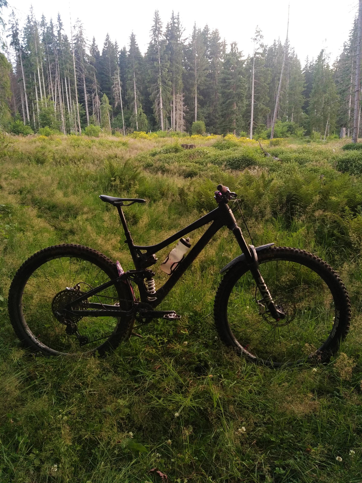 Banshee Prime V3 - jurassicrider's Bike Check - Vital MTB