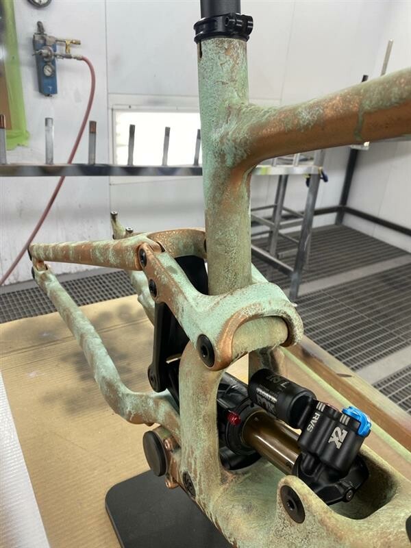 2020 Custom Painted Enduro S-Works - TomJones's Bike Check - Vital MTB