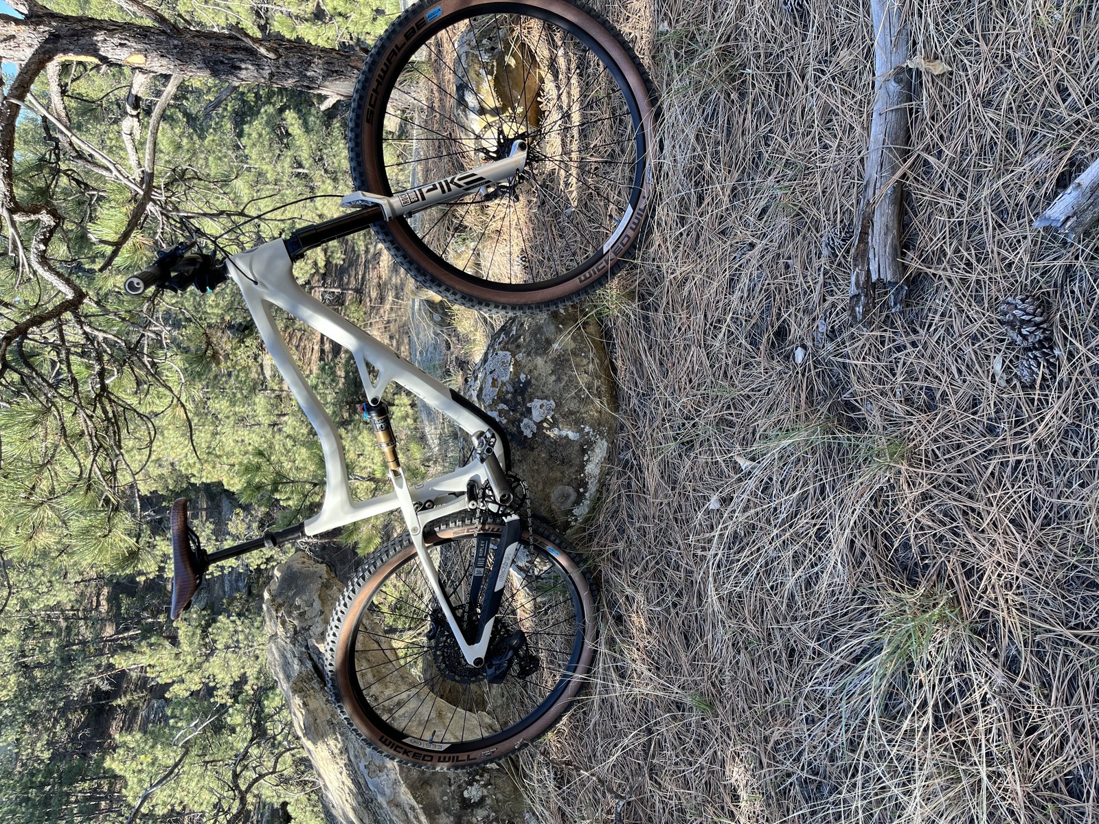 Ibis V4S - RBWebb's Bike Check - Vital MTB