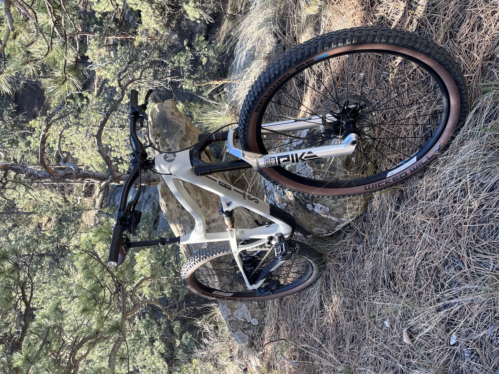 Ibis V4S - RBWebb's Bike Check - Vital MTB