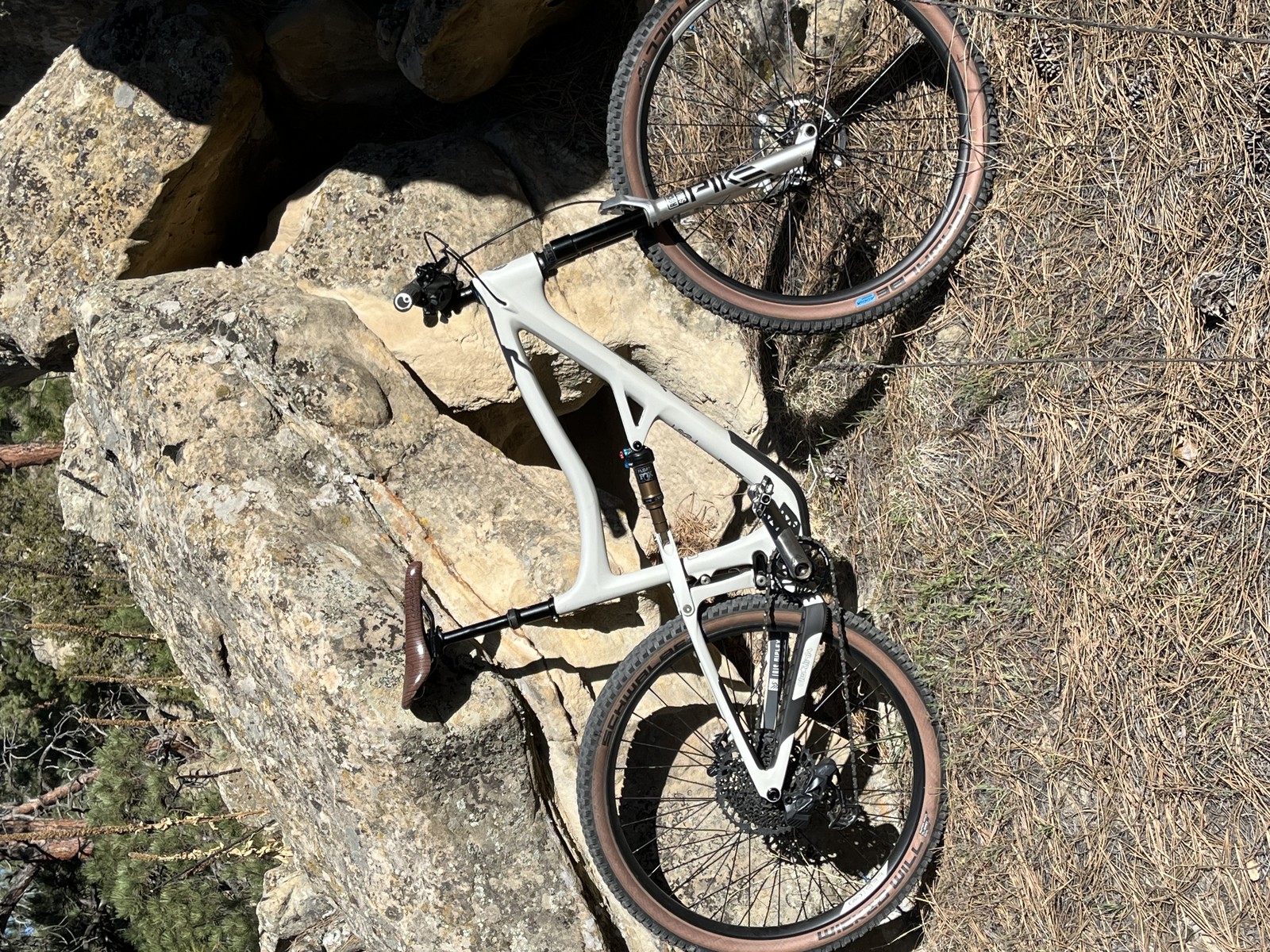 Ibis V4S - RBWebb's Bike Check - Vital MTB