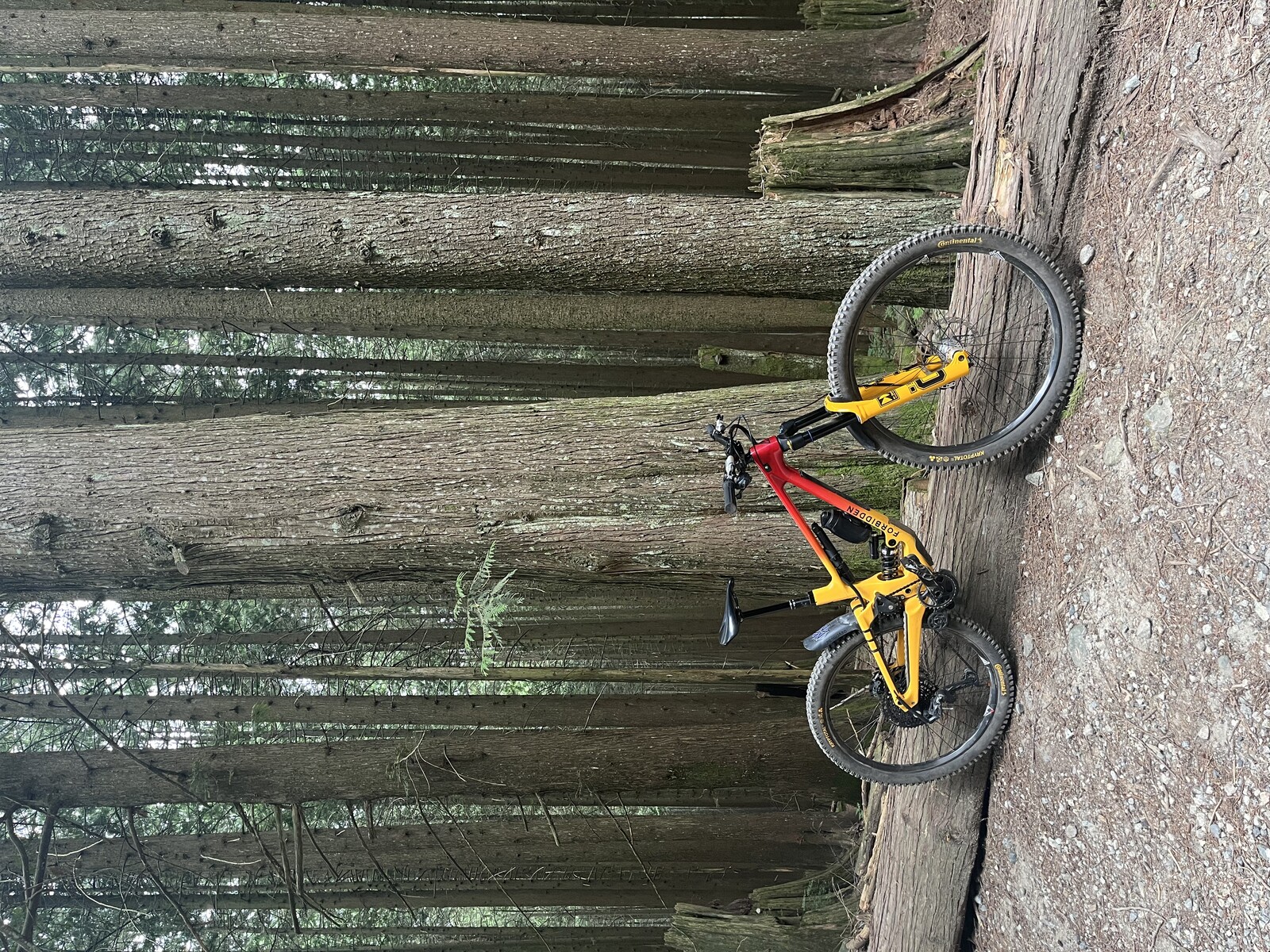 Forbidden Dreadnought V2 MX - The Yellow Submarine - MateoPateo's Bike ...