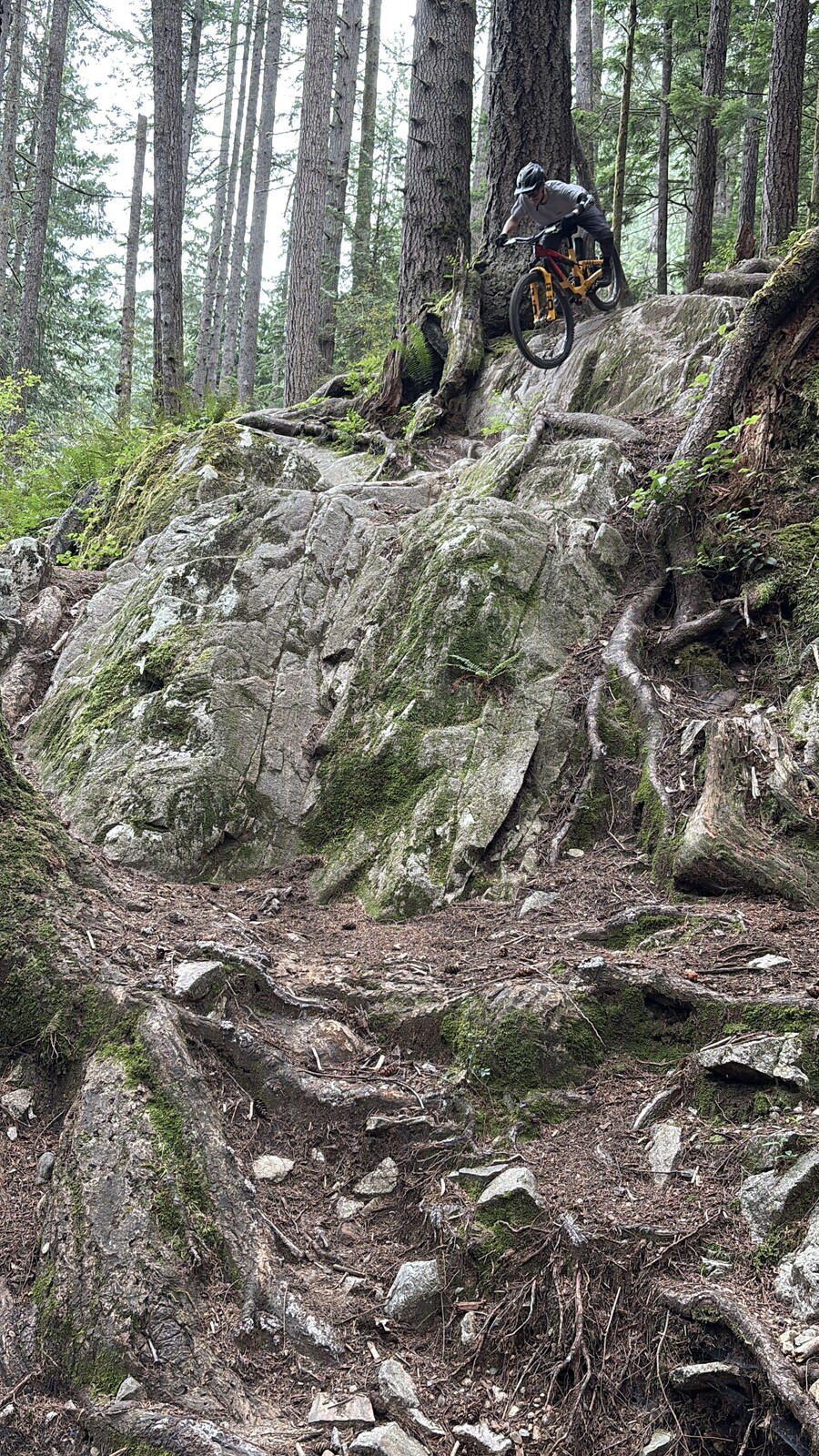 Forbidden Dreadnought V2 MX - The Yellow Submarine - MateoPateo's Bike Check - Vital MTB