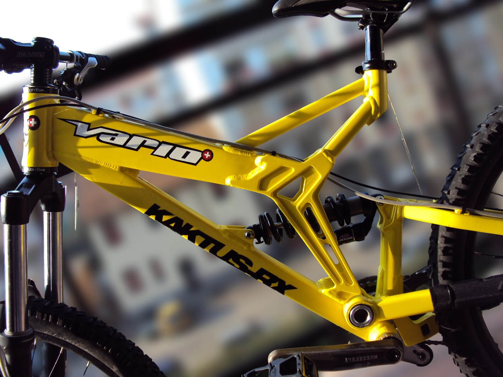 VARIO Kaktus RX - 2008 - chiccosacco's Bike Check - Vital MTB