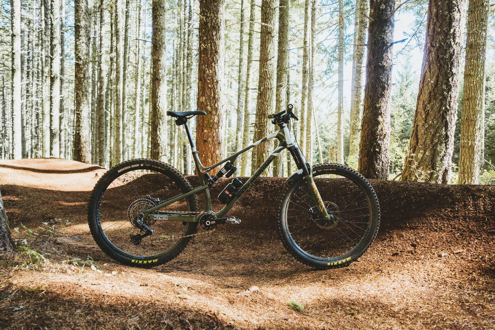 "Hella-Mint" Rocky Mountain Element Brawler Build - dkidd's Bike Check ...