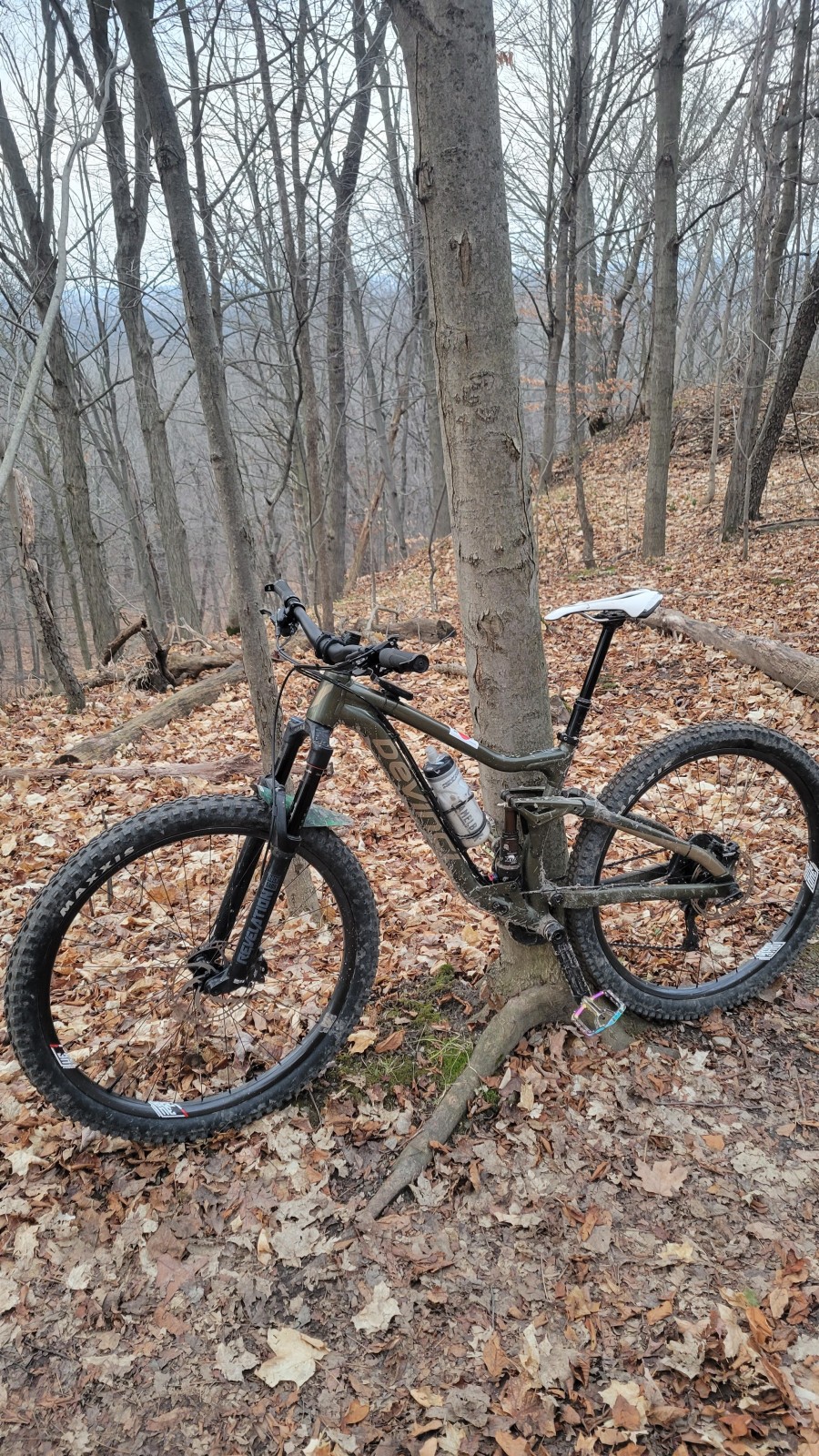 Django minibeast - breeconay's Bike Check - Vital MTB