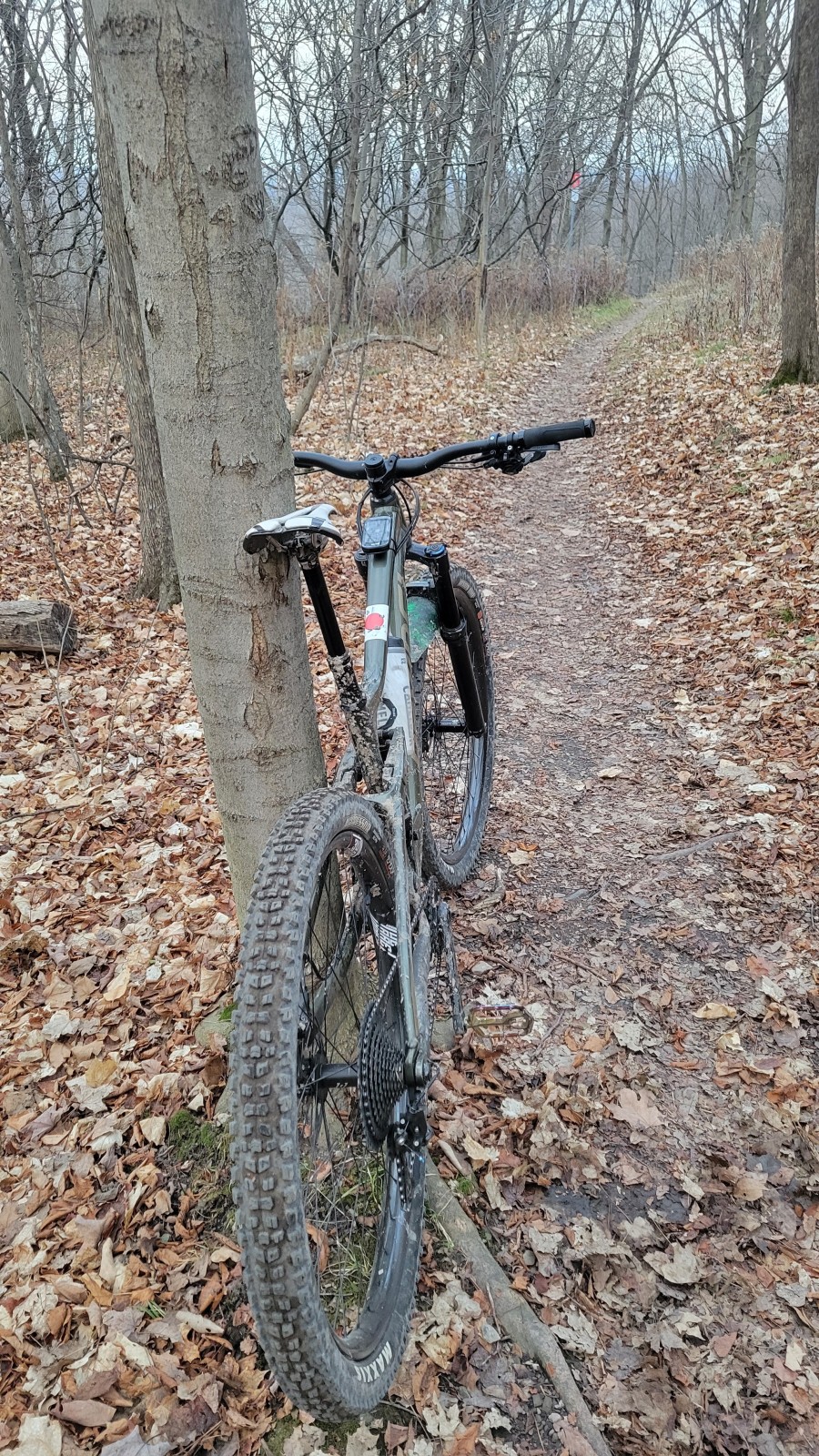 Django minibeast - breeconay's Bike Check - Vital MTB