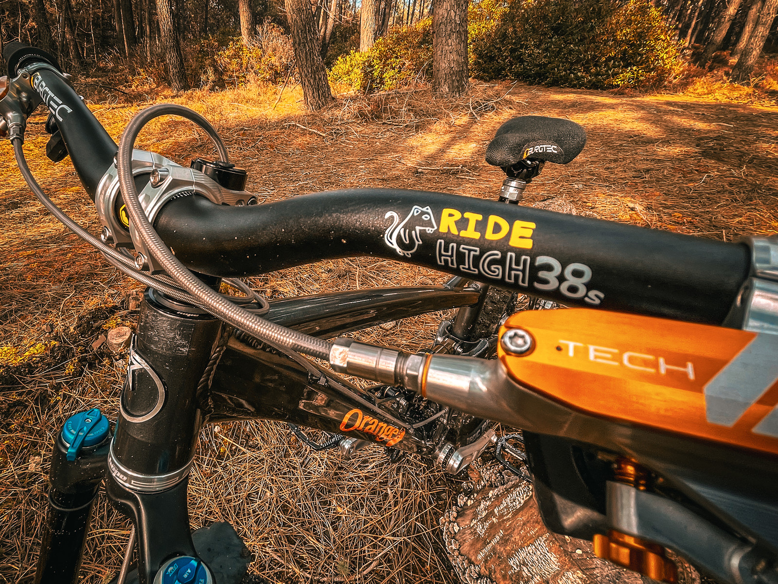 Orange Bikes Four and Chiara the trail dog - Louis_Radenac's Bike Check ...
