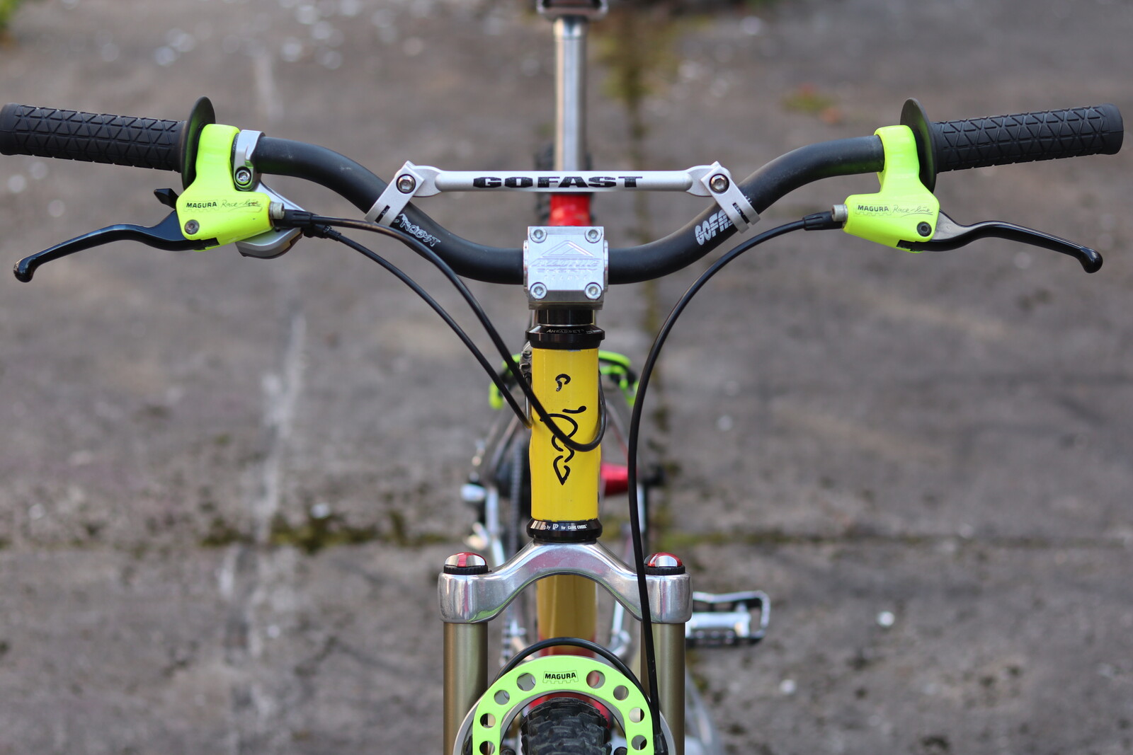 Dagger FS - Old school DH build - Dami's Bike Check - Vital MTB