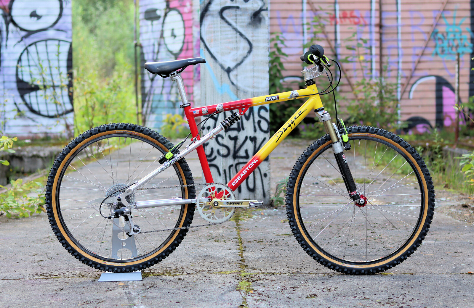 Dagger FS - Old school DH build - Dami's Bike Check - Vital MTB