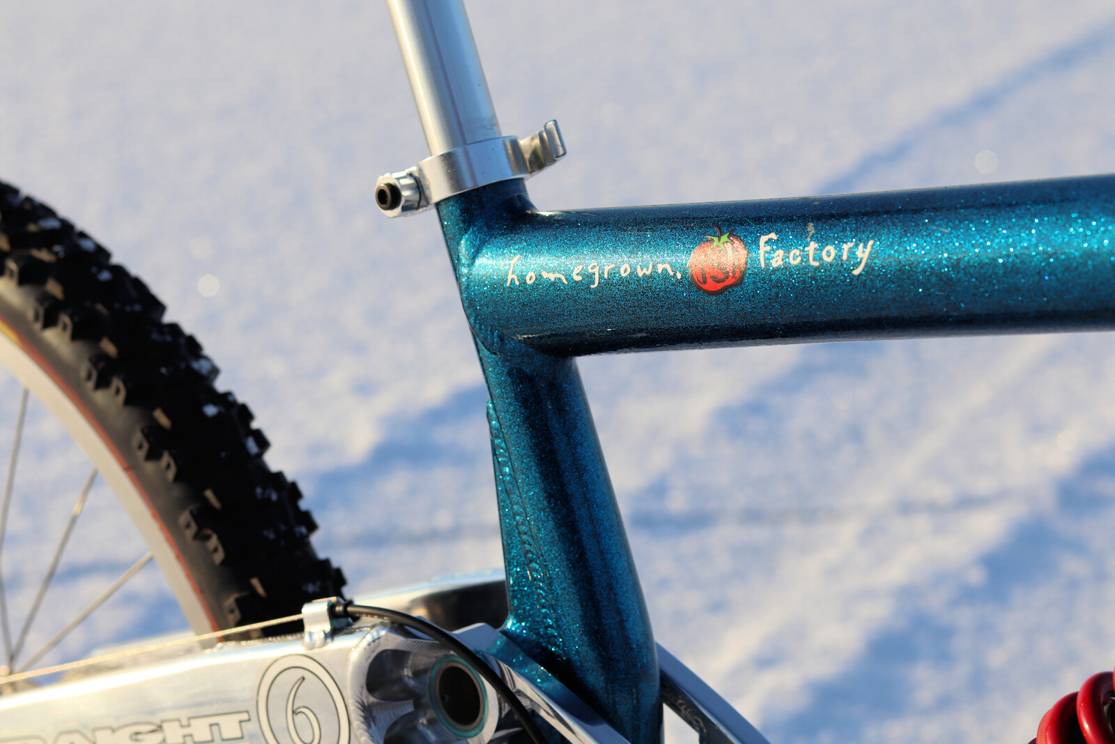 Schwinn Straight 6 - Dami's Bike Check - Vital MTB