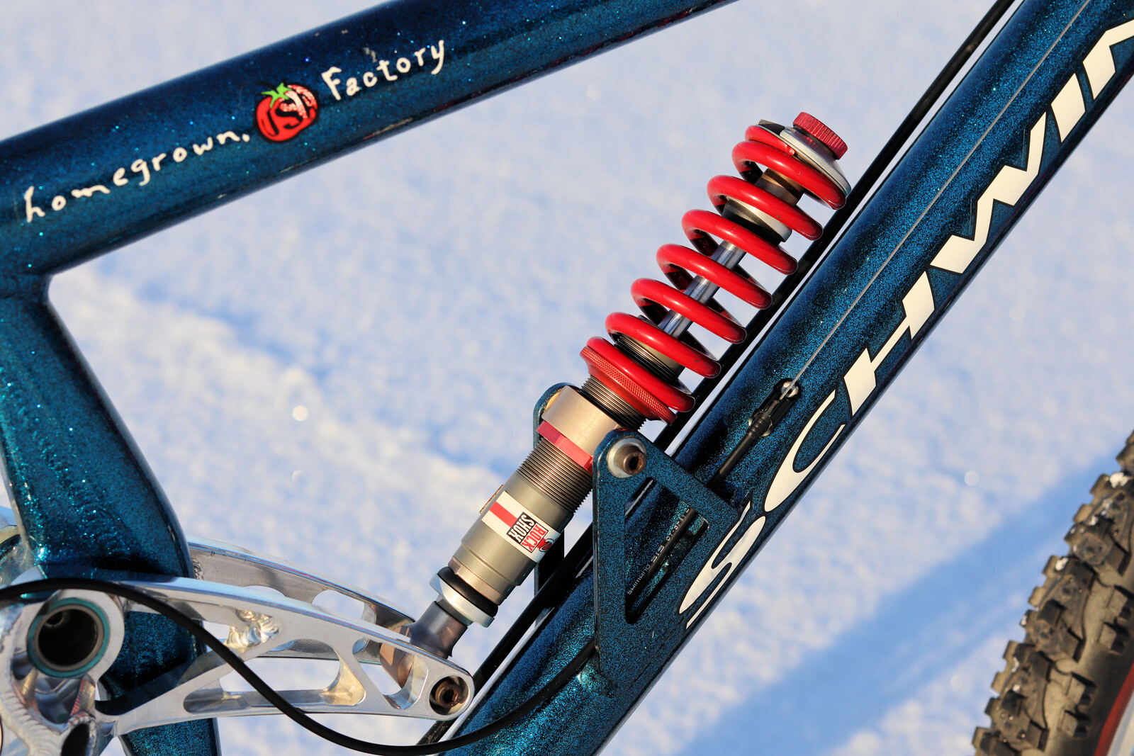 Schwinn Straight 6 - Dami's Bike Check - Vital MTB