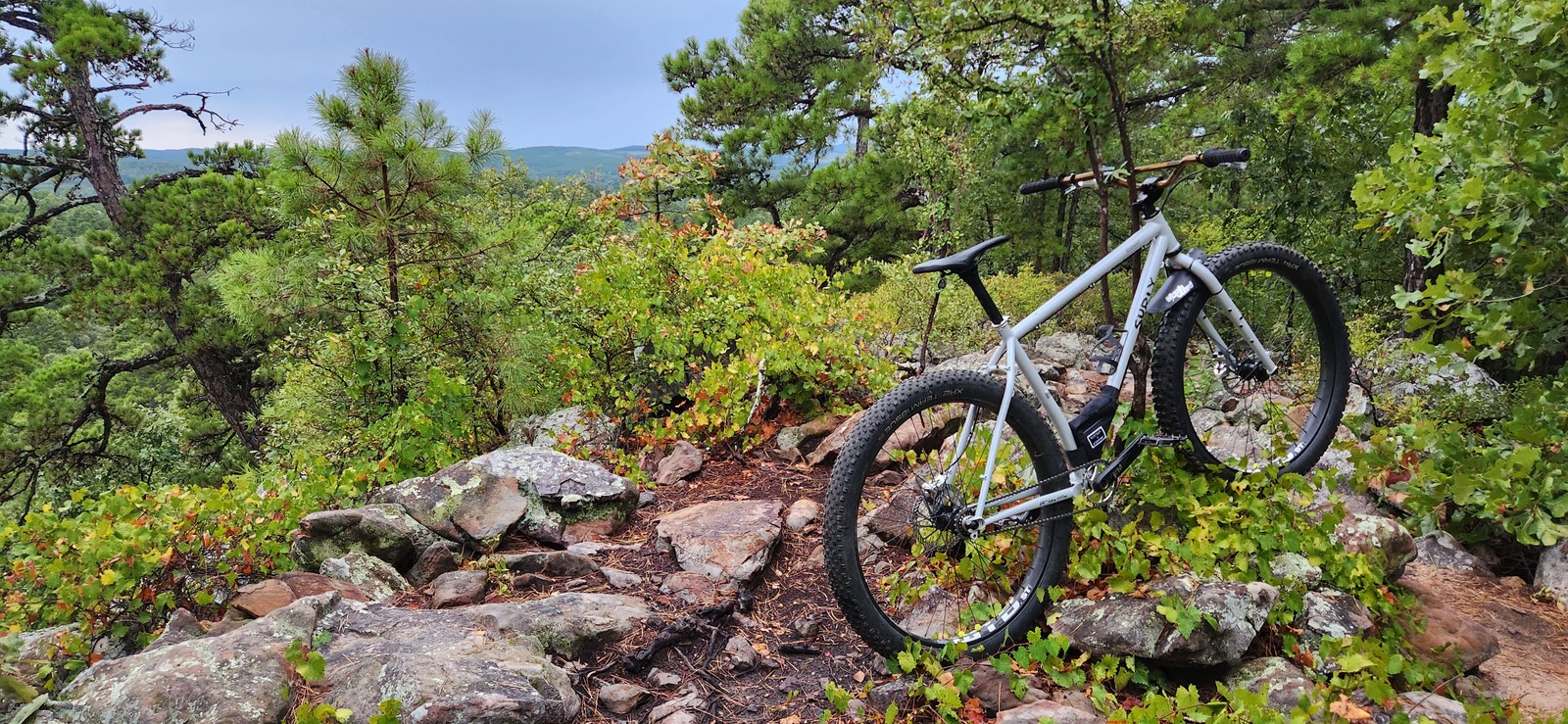 2024 Surly Krampus 29+ rigid steel singlespeed - FerrousBueller's Bike ...