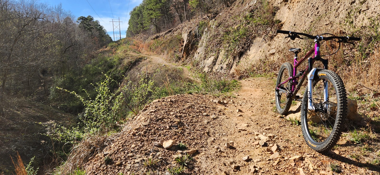 Cotic FlareMax Gen 4 - Hubble Purple - FerrousBueller's Bike Check ...