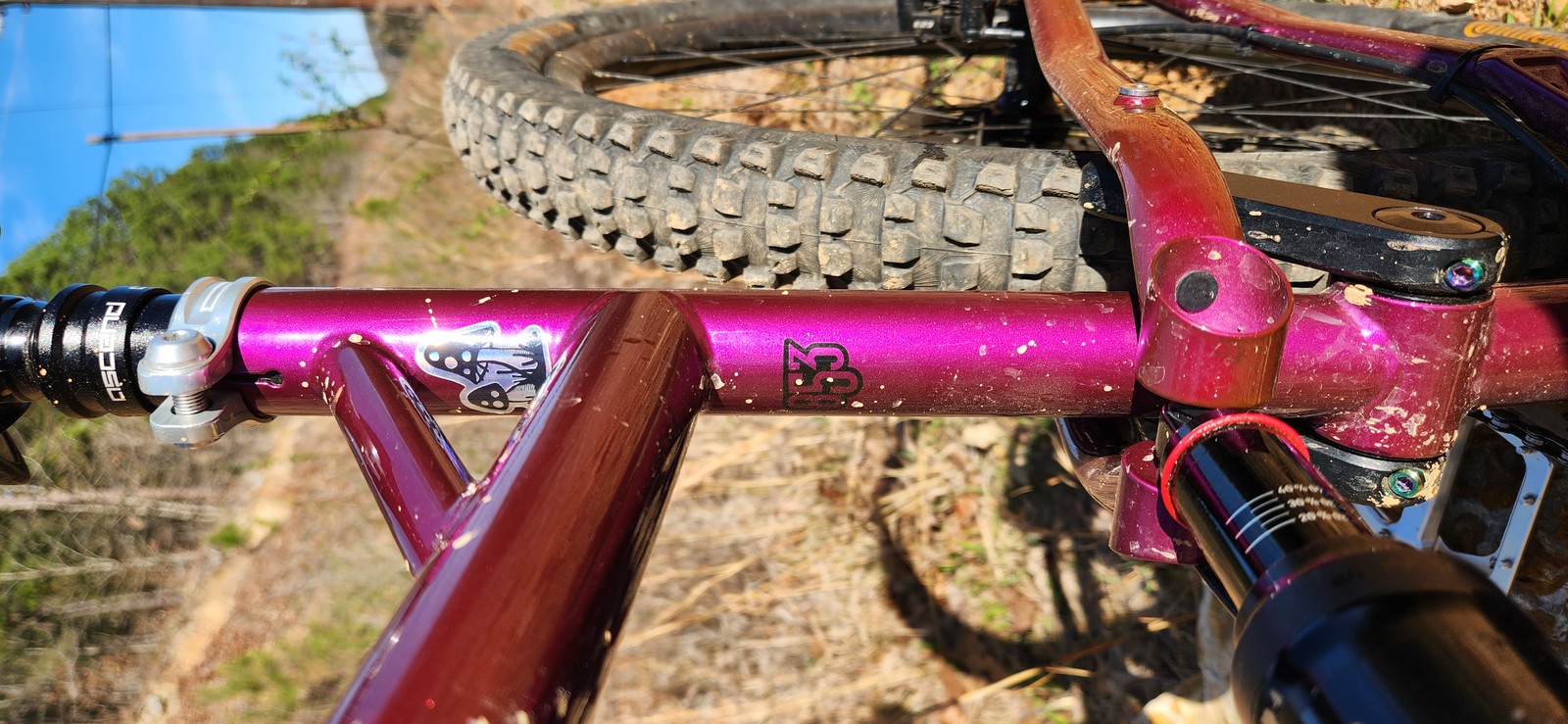 Cotic FlareMax Gen 4 - Hubble Purple - FerrousBueller's Bike Check ...