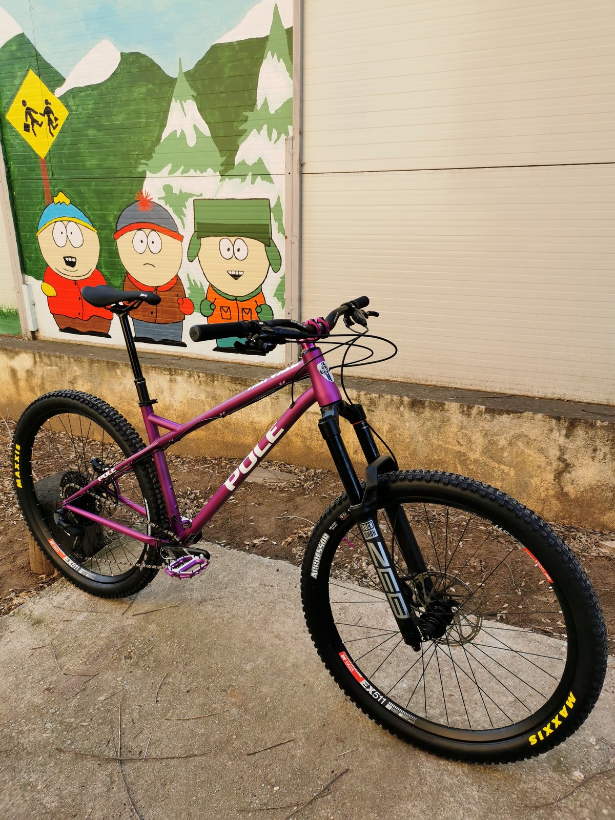 Pole Taival Chromoly steel 29er - Bogdan_Spoe's Bike Check - Vital MTB