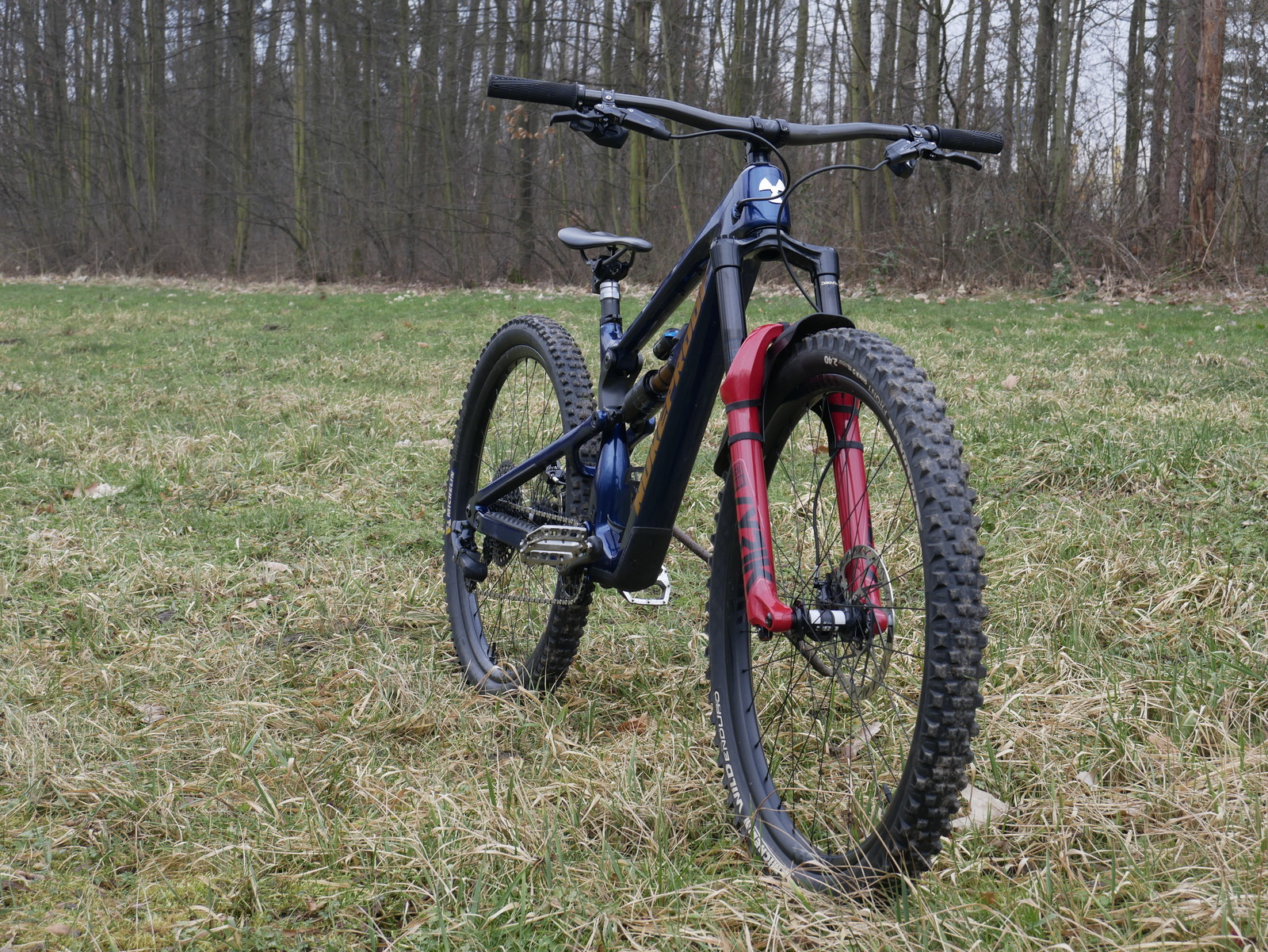 Nukeproof Mega 290 custom - Juraj_Harbal's Bike Check - Vital MTB