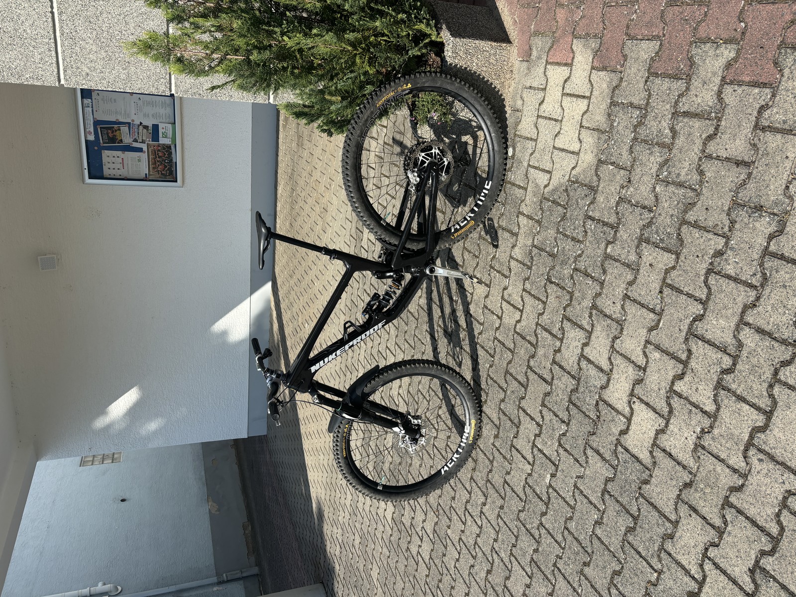 Nukeproof Giga 290 - mmgreitzke's Bike Check - Vital MTB