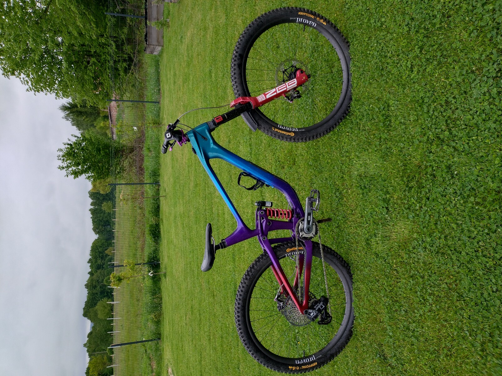 Giant Reign Advanced XL 2025 Custom - Kruku_harata's Bike Check - Vital MTB