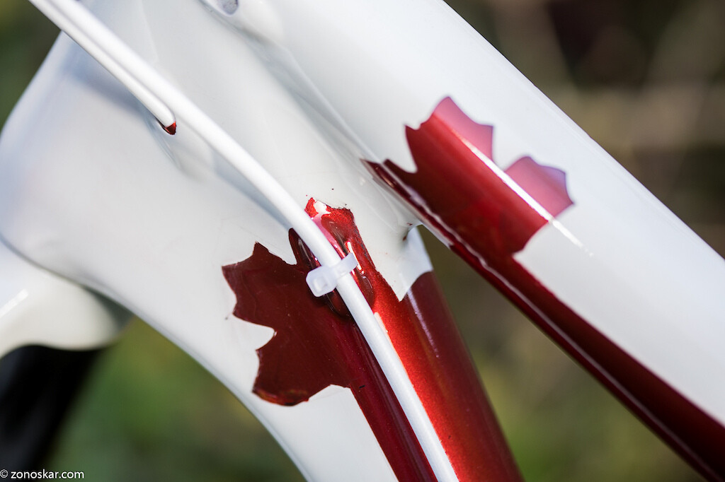 2015 Rocky Mountain Thunderbolt 799 custom paint - zonoskar's Bike ...