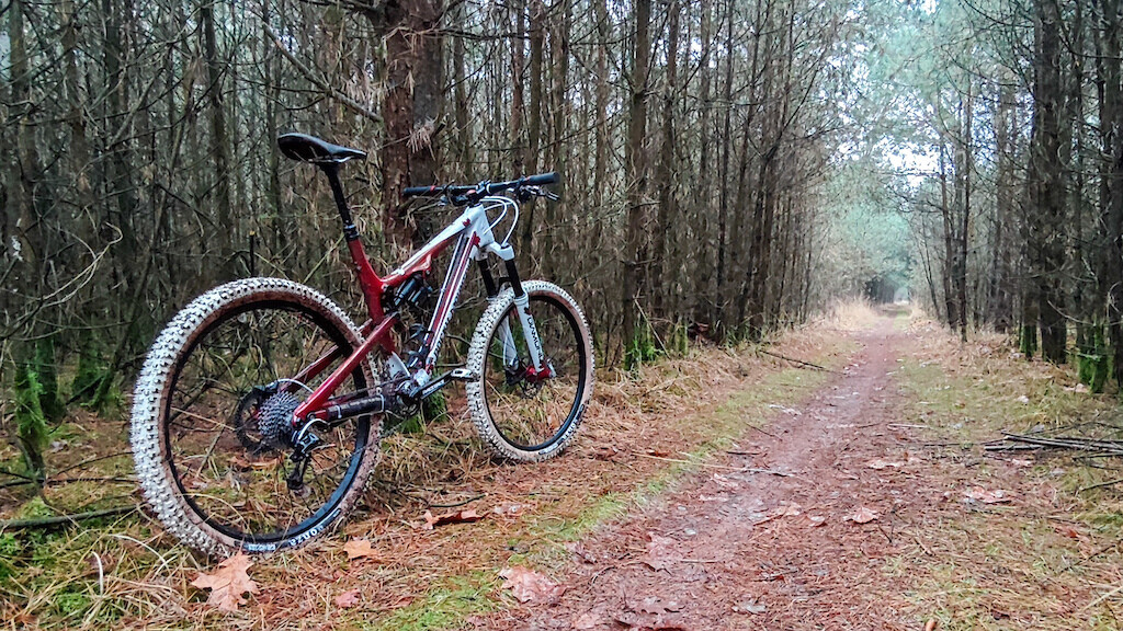 2015 Rocky Mountain Thunderbolt 799 custom paint - zonoskar's Bike ...