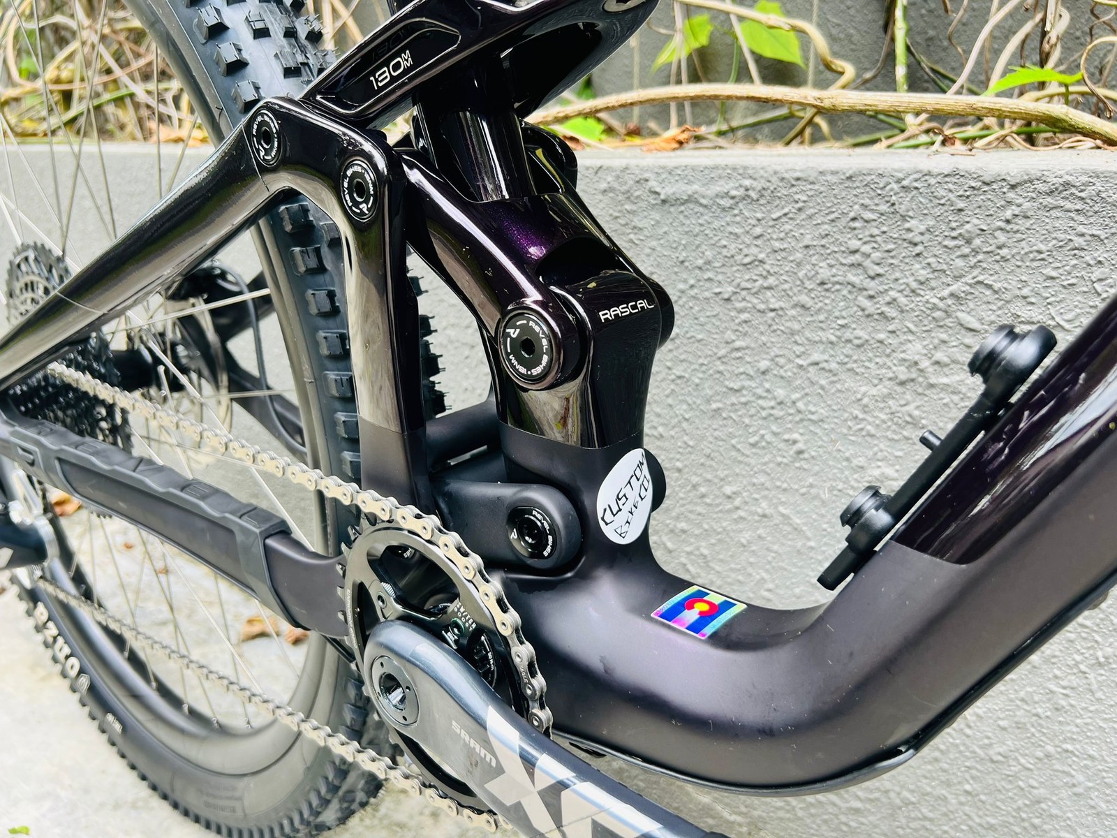 Revel Rascal V2 Pinot Gnar Hints Of Silver - Robin_Custombikeco's Bike ...