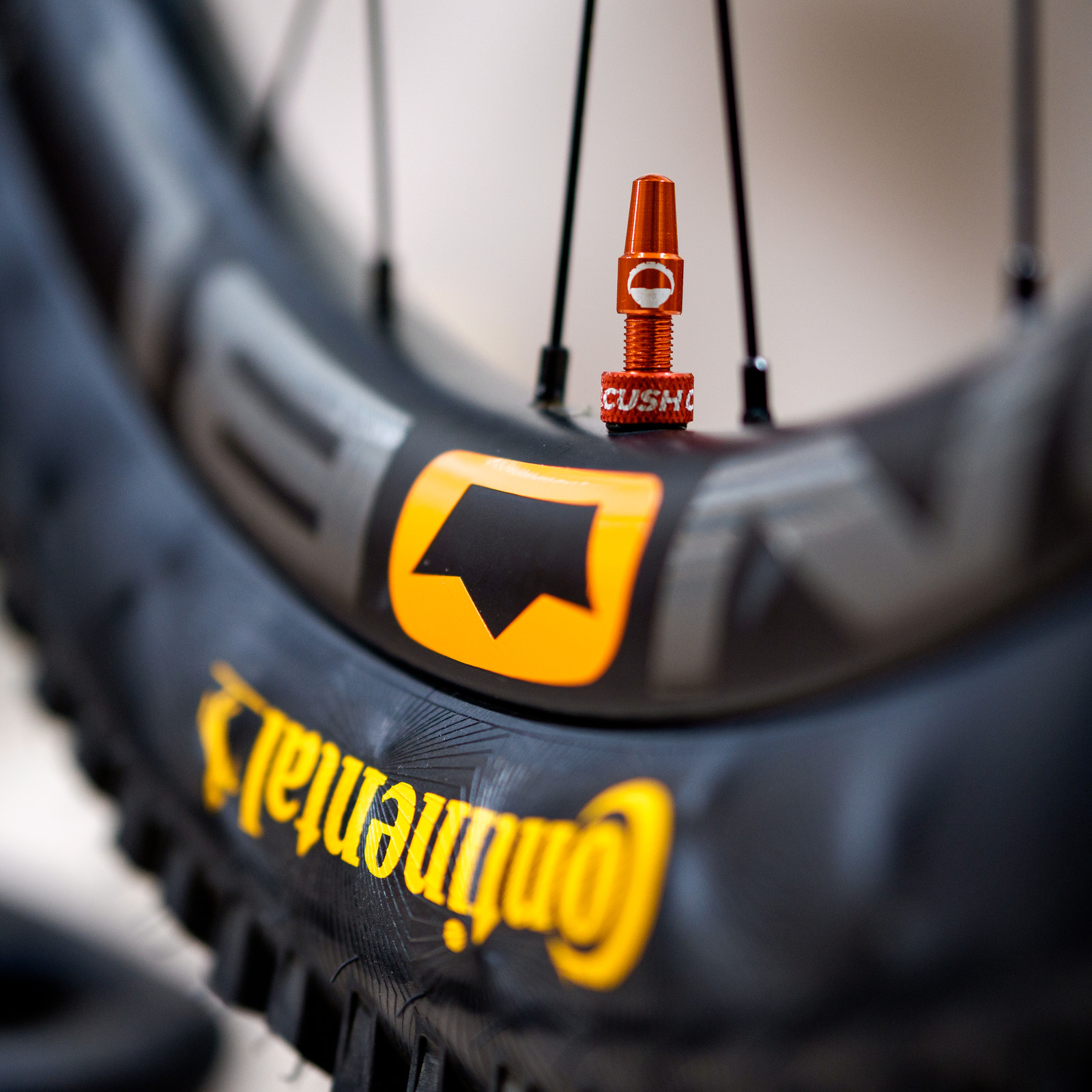 Transition Spire 2023 (Fade To Black) - Julius Ryan's Bike Check - Vital MTB