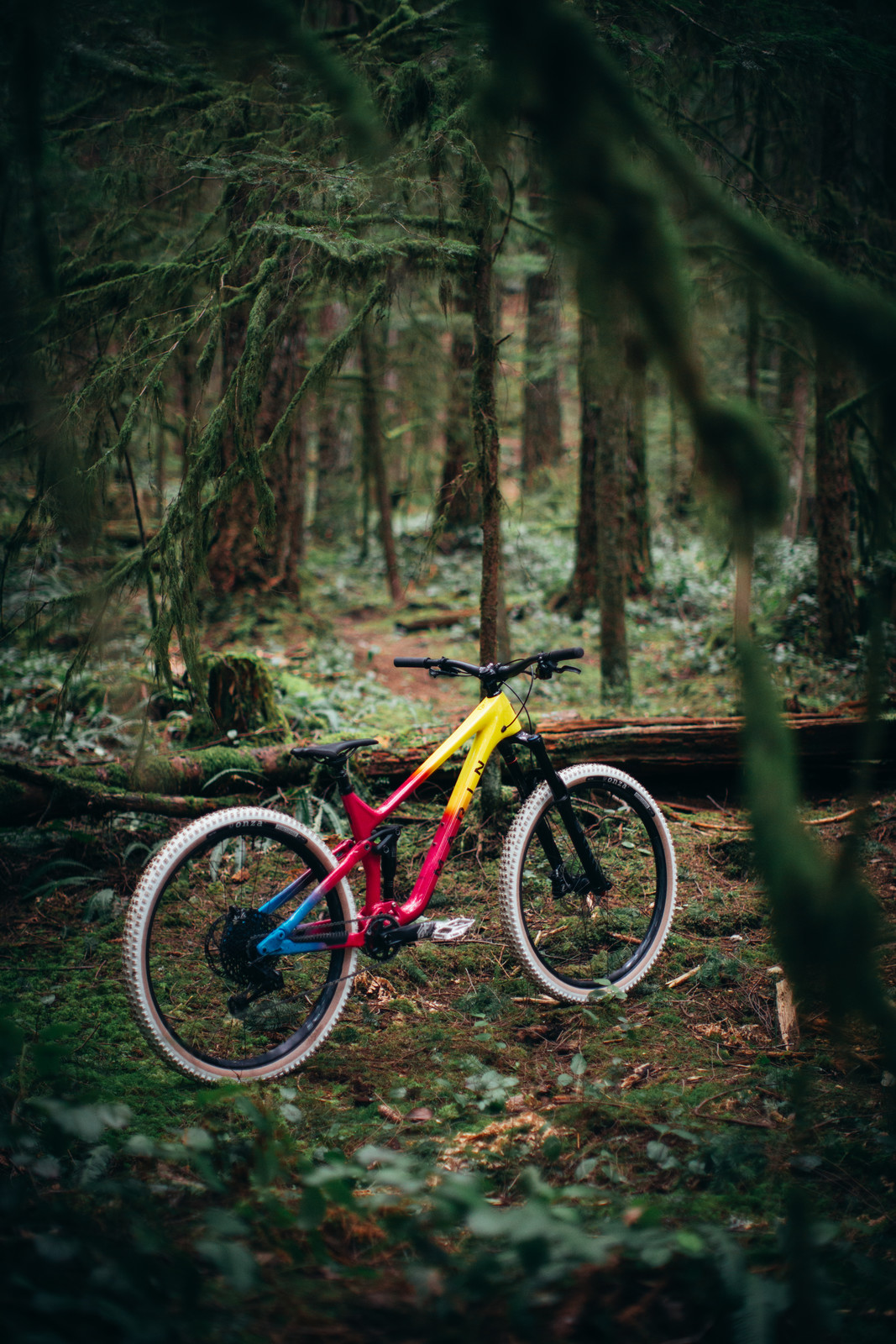 Limited Edition Marin Alpine Trail Carbon - Crown_Performance's Bike ...