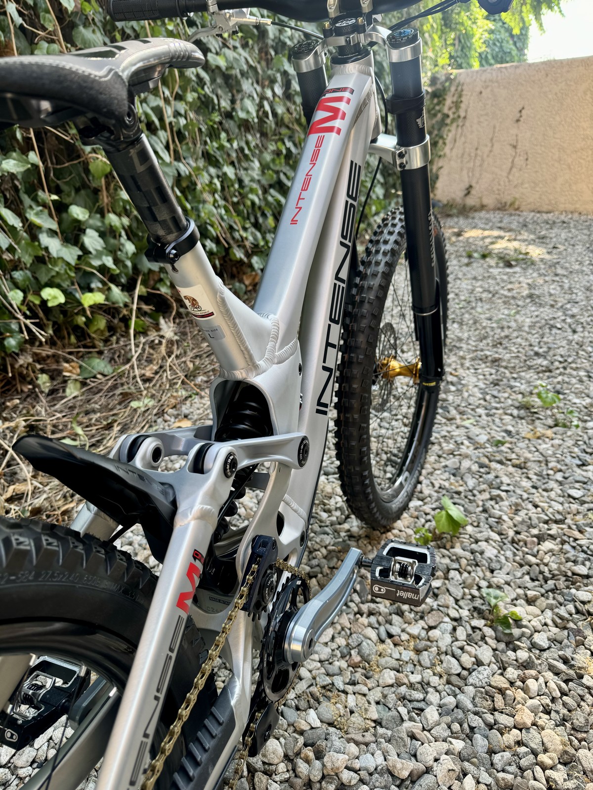 2024 Intense M1 - chris.erdei's Bike Check - Vital MTB