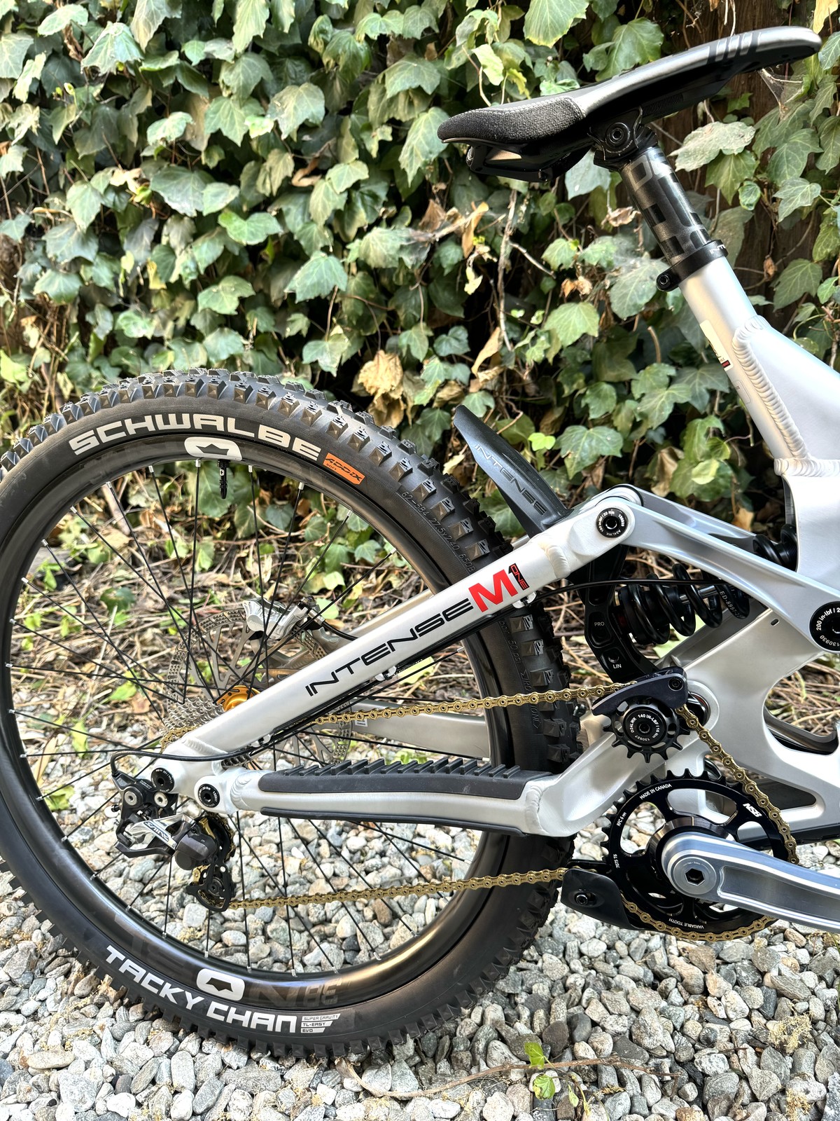 2024 Intense M1 - chris.erdei's Bike Check - Vital MTB