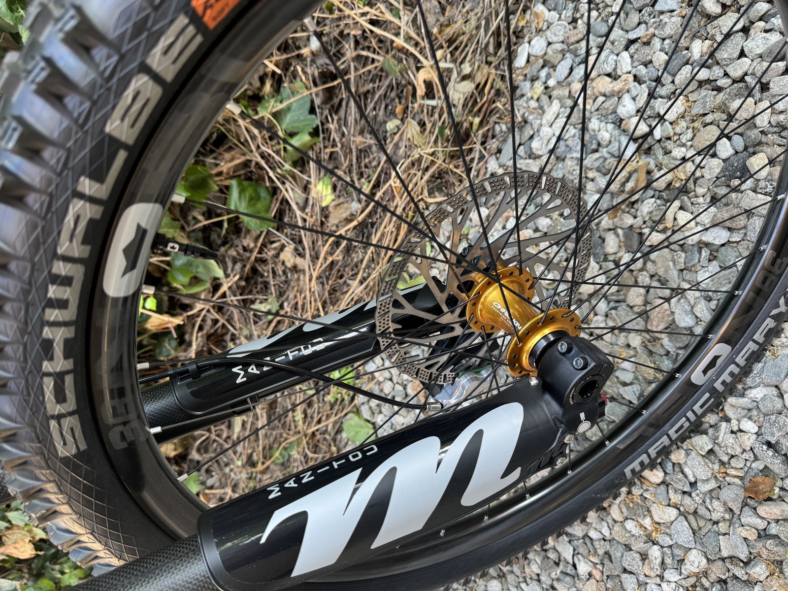 2024 Intense M1 - chris.erdei's Bike Check - Vital MTB