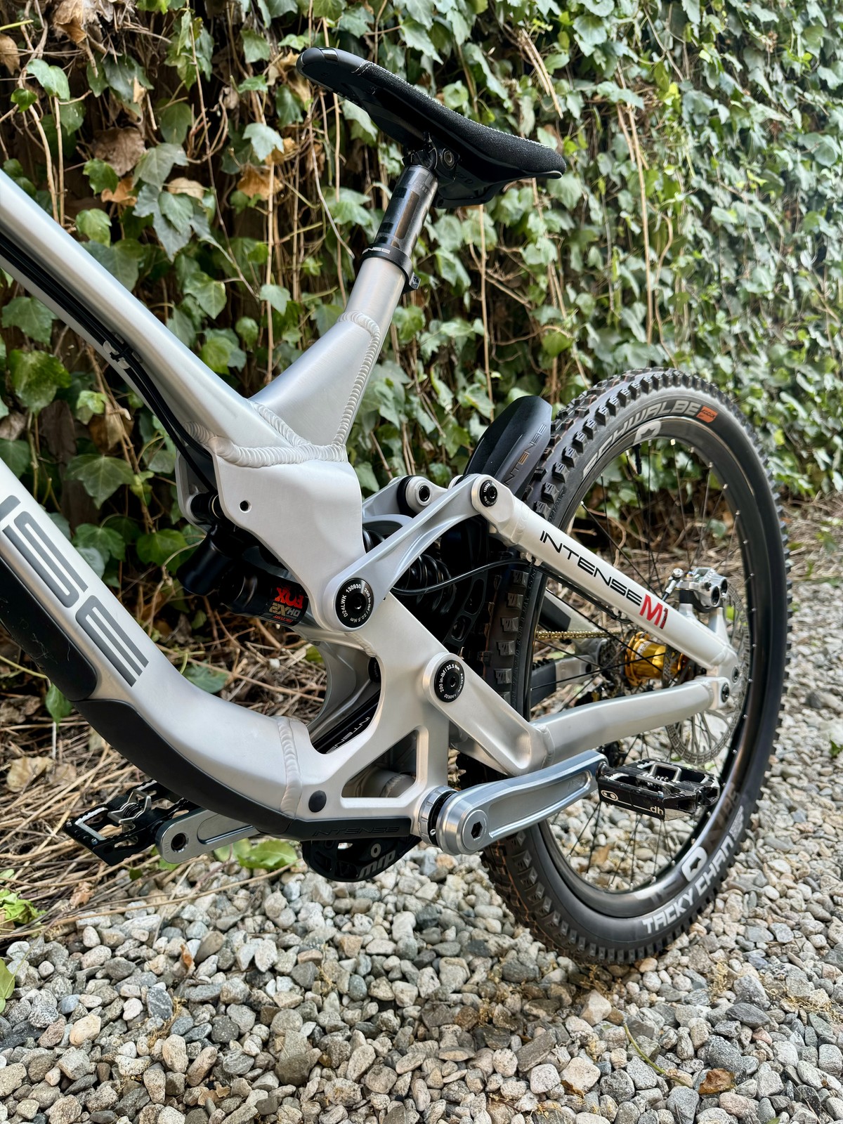 2024 Intense M1 - chris.erdei's Bike Check - Vital MTB