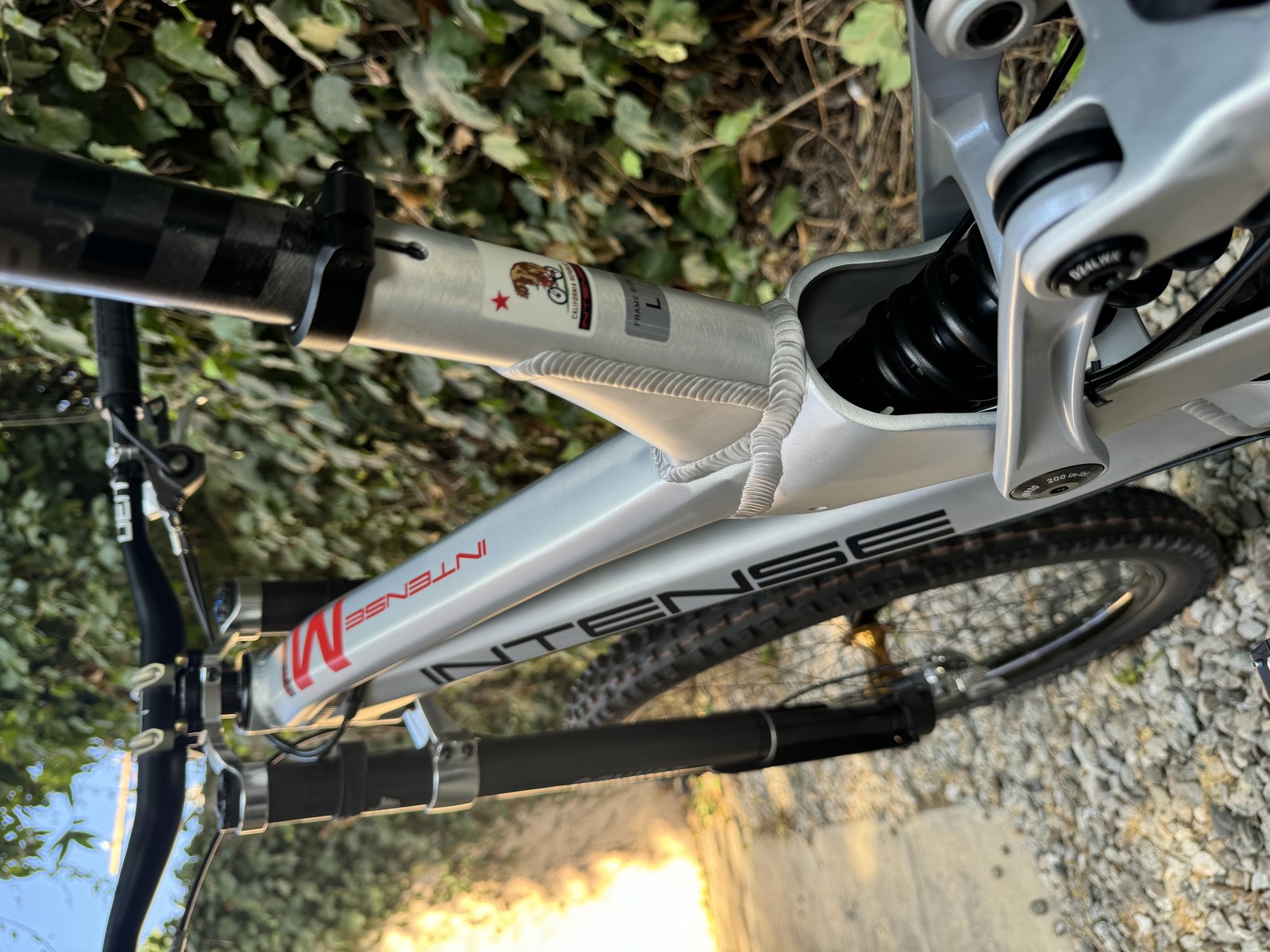 2024 Intense M1 - chris.erdei's Bike Check - Vital MTB