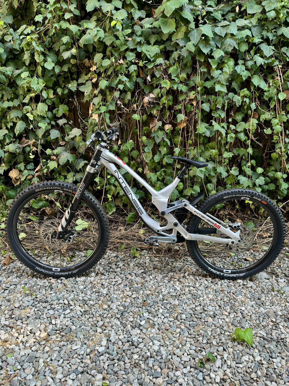 2024 Intense M1 - chris.erdei's Bike Check - Vital MTB