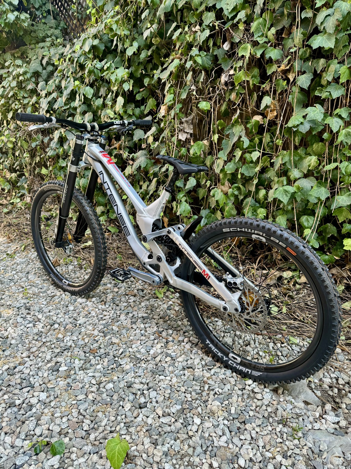 2024 Intense M1 - chris.erdei's Bike Check - Vital MTB