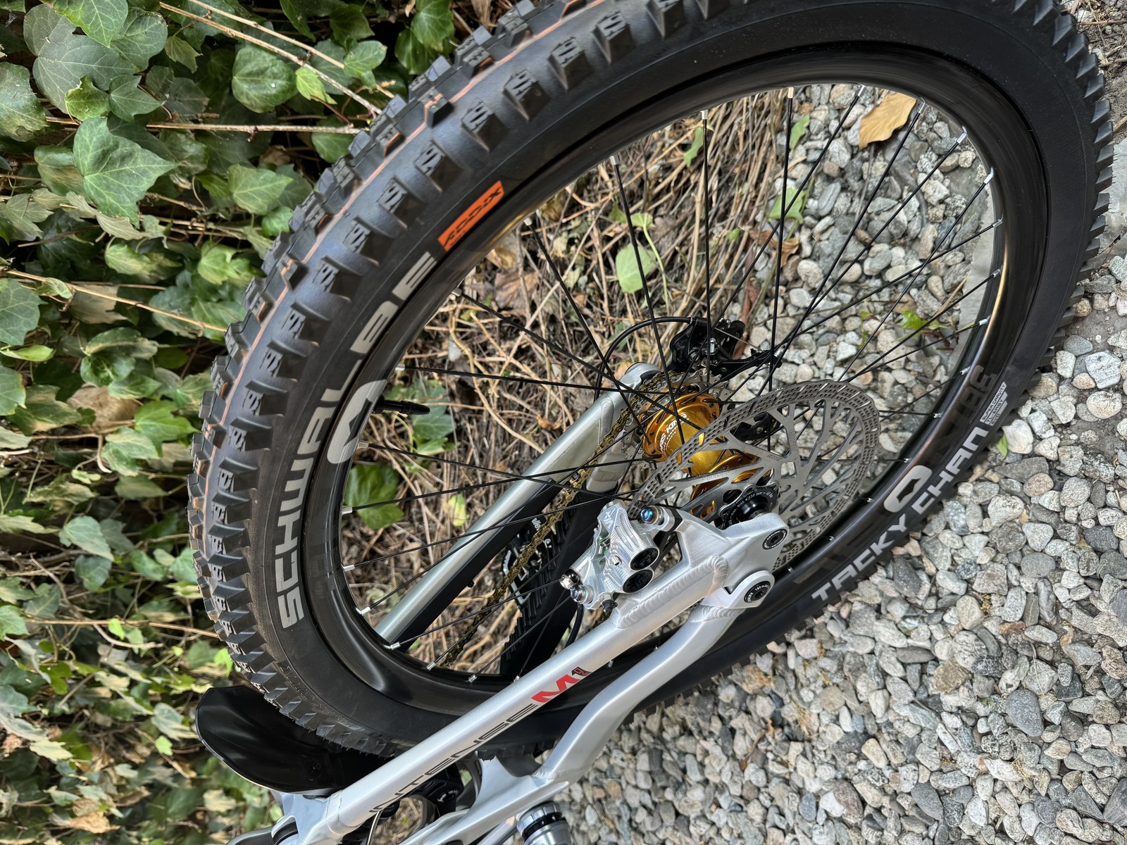 2024 Intense M1 - chris.erdei's Bike Check - Vital MTB