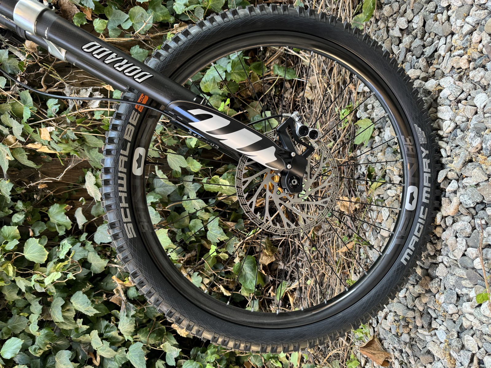 2024 Intense M1 - chris.erdei's Bike Check - Vital MTB