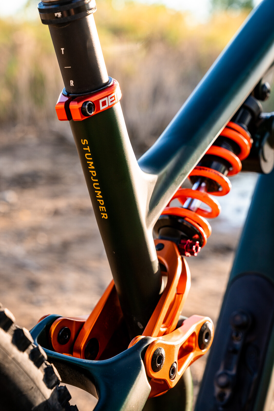 Stumpjumper 15 - Kriggs's Bike Check - Vital MTB