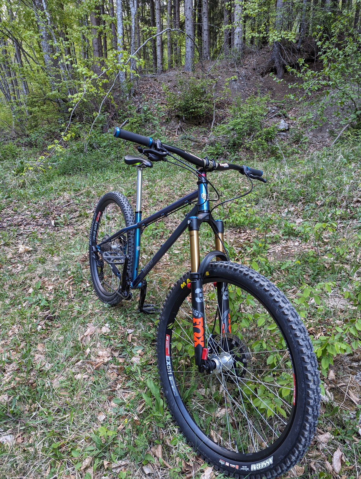 Bird Forge - Timur_Ionescu's Bike Check - Vital MTB