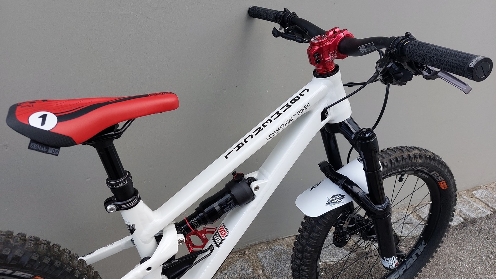 COMMENCAL Clash V2 20" custom - Literide's Bike Check - Vital MTB