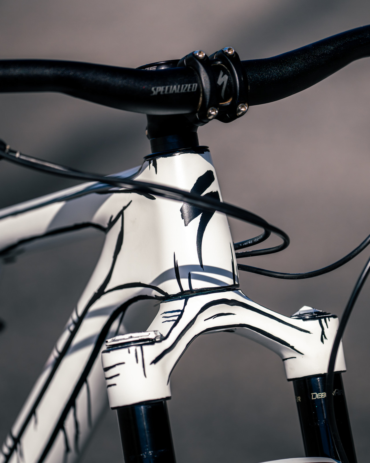 2022 Specialized Epic Evo Borderlands - CarterBrown's Bike Check ...