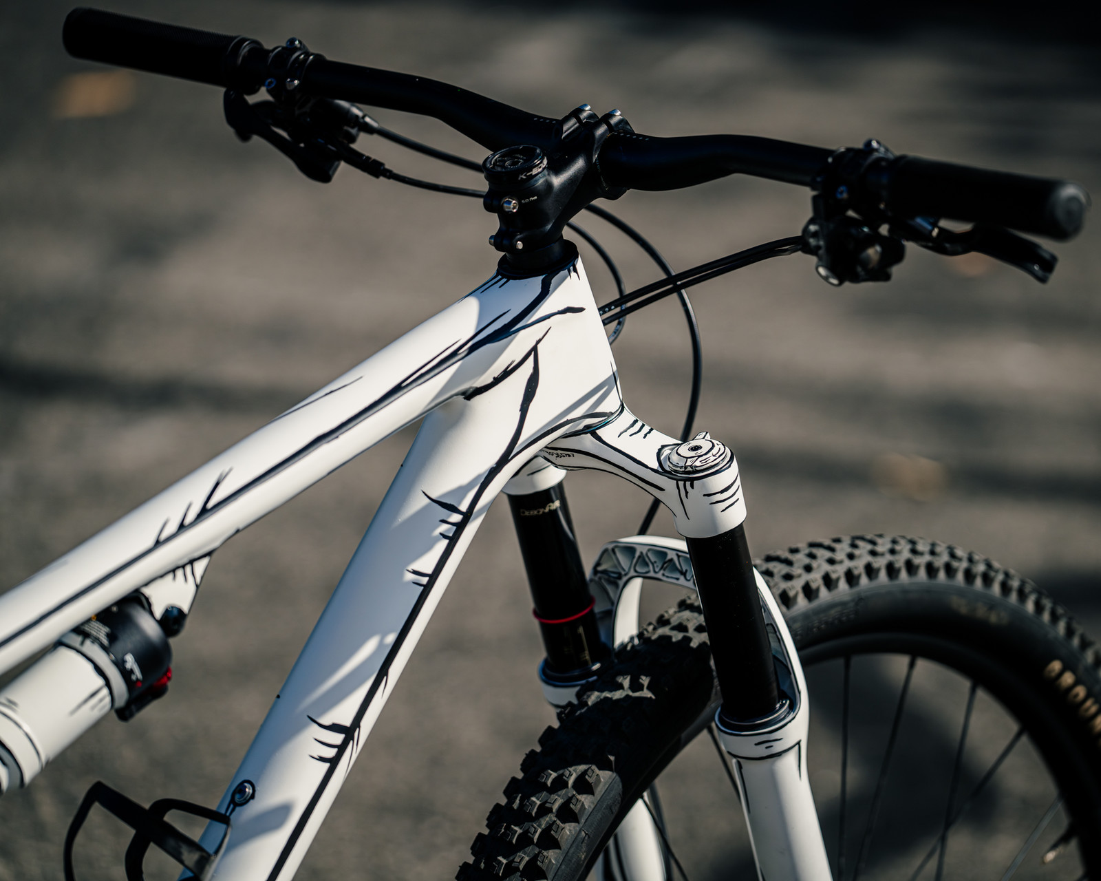 2022 Specialized Epic Evo Borderlands - CarterBrown's Bike Check ...