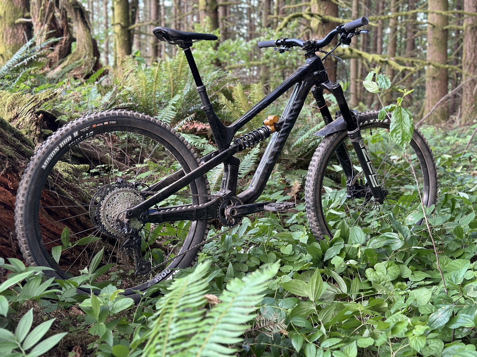 Canyon Spectral 29 CF Custom - m3hl's Bike Check - Vital MTB