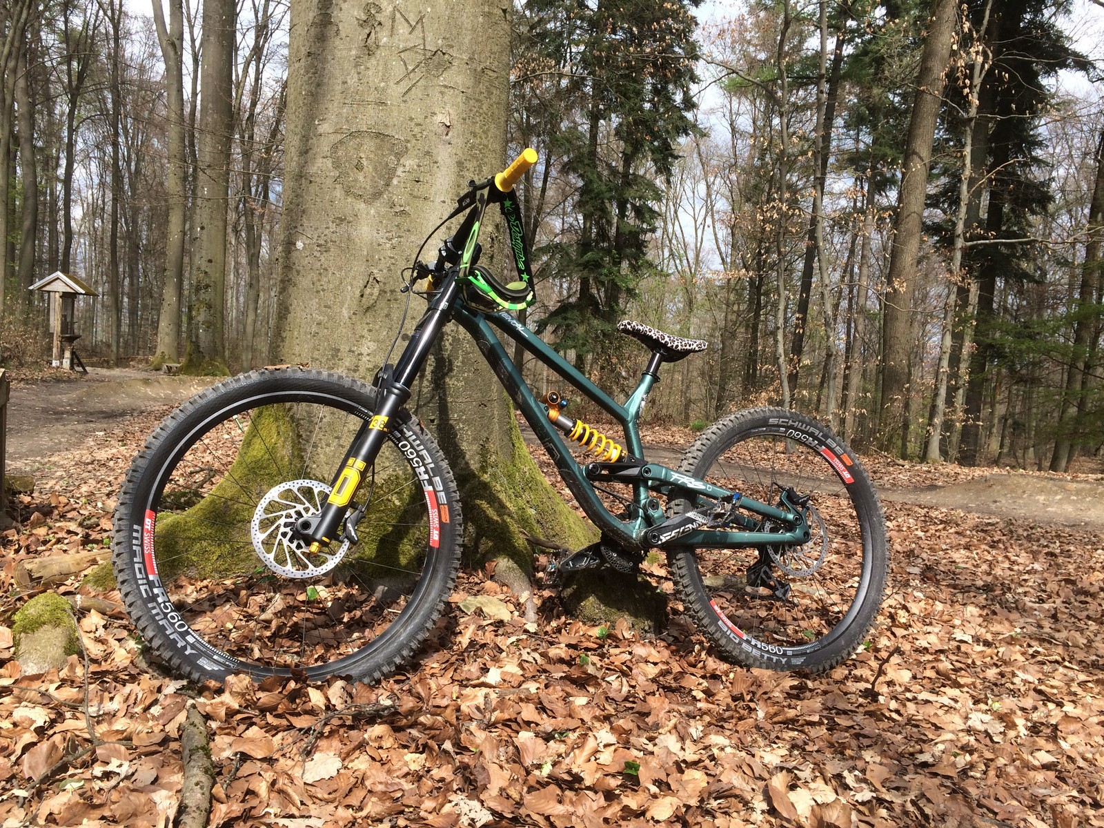 IMG 0641 - honi - Mountain Biking Pictures - Vital MTB